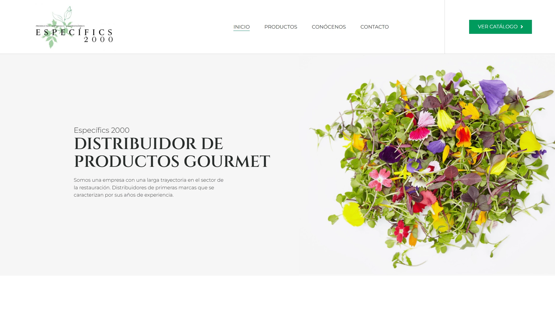 Diseño y Desarrollo WEB con IA - Hexaia